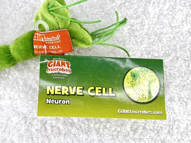 GREEN NERVE CELL Neuron By Giant Microbes, Scientific Soft Toy Plush ...