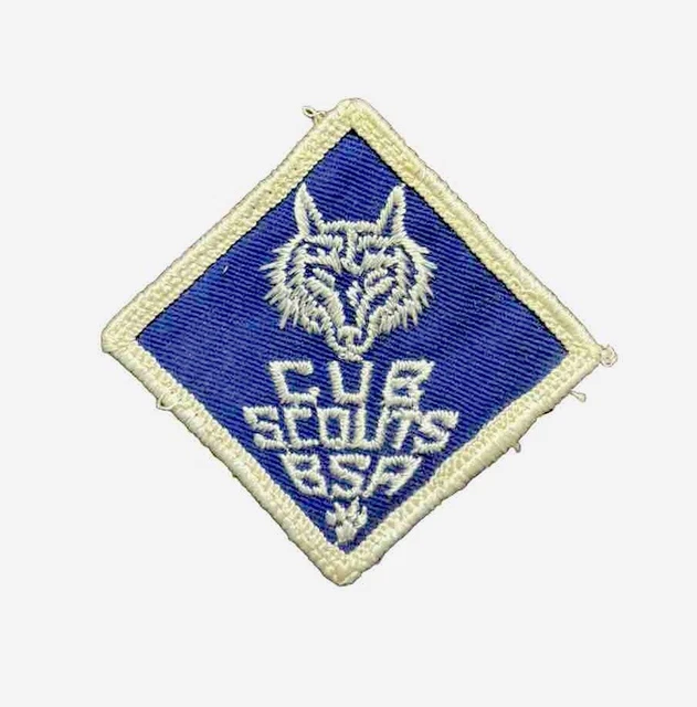 VINTAGE 1960S-70S CUB SCOUT DEN LEADER Boy Scout Position Badge PATCH ...