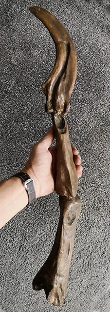 MOULAGE FOSSILE REPRODUCTION os fossile doigt Spinosaurus bones fossil ...