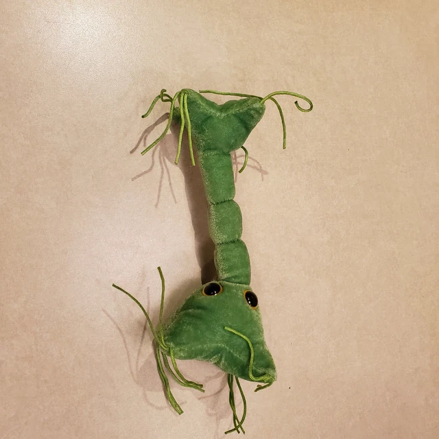 GIANT MICROBES NERVE Cell neuron brain cell plush toy approx 7 inches ...
