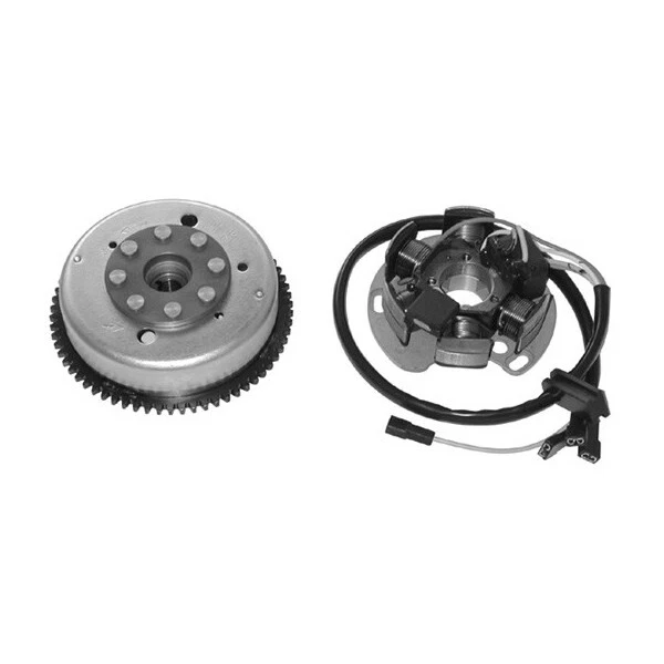VOLANT D'INERTIE AVEC Stator Générateur Derbi GPR R E2 50 2013 EUR 92 ...