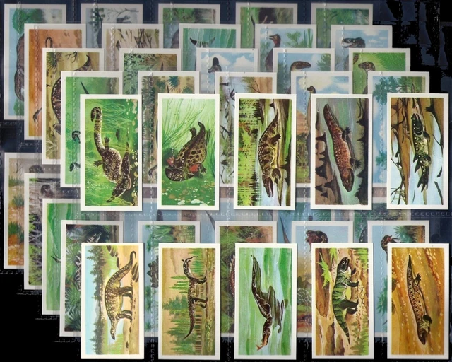 PREHISTORIC ANIMALS - A Complete Brooke Bond 1972 Set Of Trade Cards ...