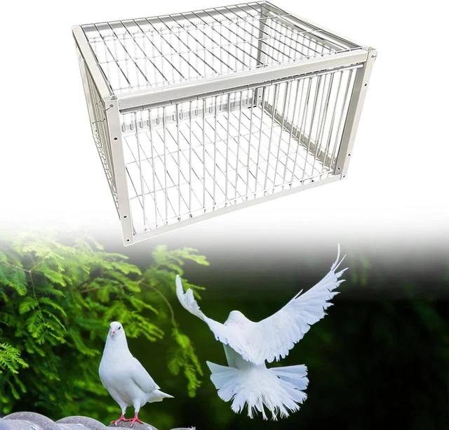 PIGEON TRAP CAGE Pigeon Coop Escaping Resistant Metal Welding Automatic ...
