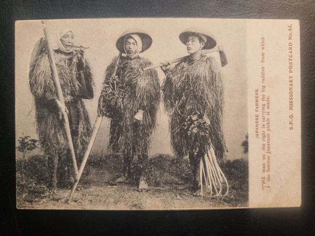 JAPAN POSTCARD C1910 Asia Japanese Farmers Work Clothes Wasabi Raddish ...