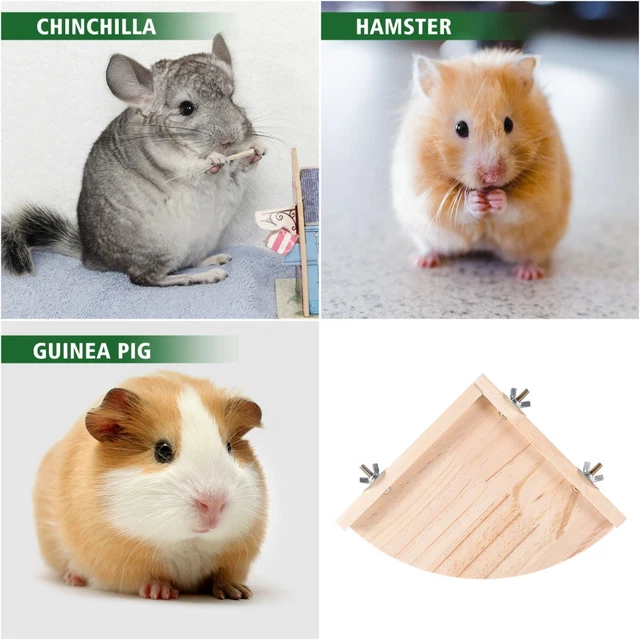 WOODEN HAMSTER CAGE Sector Squirrel Springboard Platform Pet Parrot ...