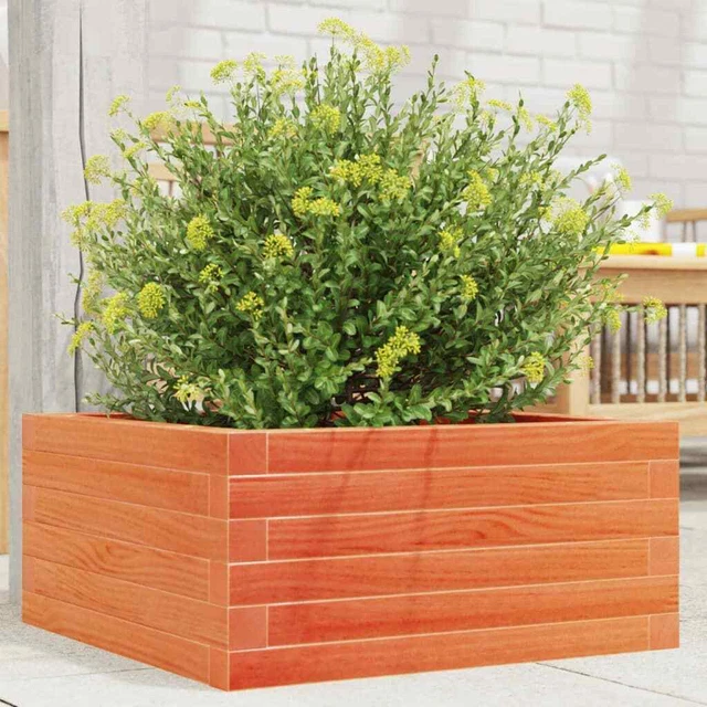GARTEN HOCHBEET HOLZ Pflanzkübel Blumenkübel Pflanzkasten Blumenkasten 50x50x23 EUR 63,18 ...
