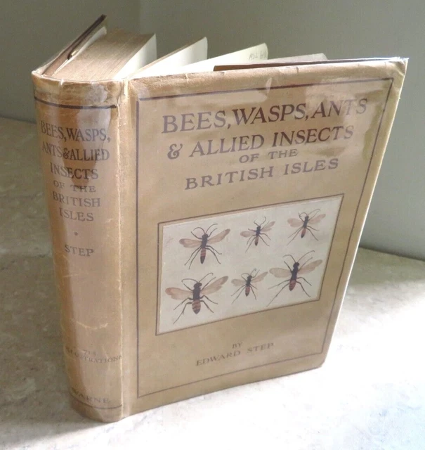 1932 BEES WASPS Ants + Allied Insects Step Wayside Woodland 1St Ed 44 ...