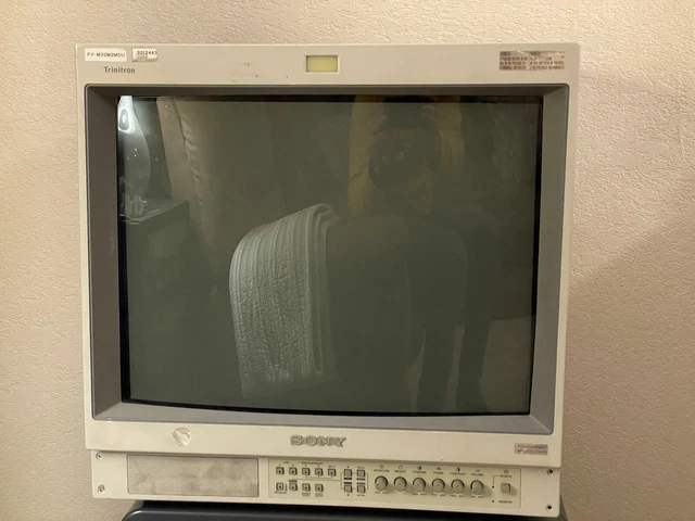 SONY TRINITRON PVM-20M2MDU 20" CRT Monitor - LOCAL PICKUP ONLY IN ...