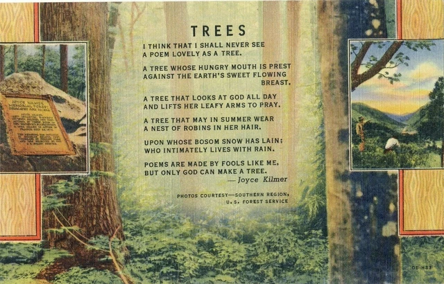 TREES POEM BY Joyce Kilmer A Lovely Tree Nature Linen Vintage Post Card ...