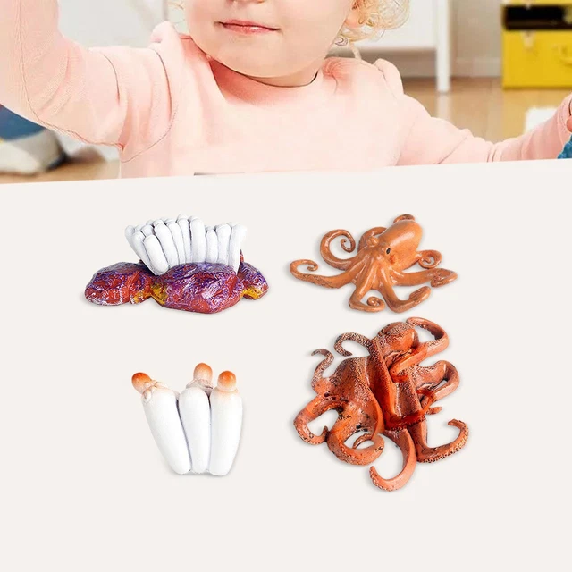 OCTOPUS LIFE CYCLE Set Preschool for Toddlers Ages 3 4 5 6 Years Boy ...