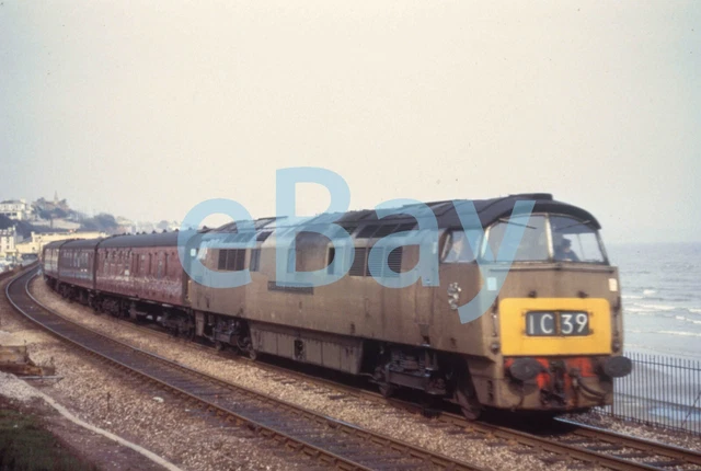 35MM RAILWAY SLIDE of Class 52 Western D1000 @ Dawlish £4.79 - PicClick UK
