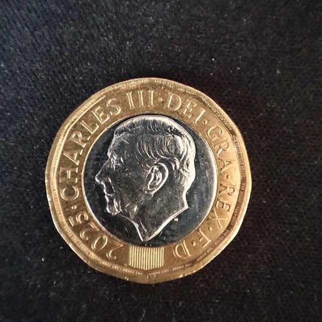 RARE 2025 £1 Bee Coin £10.00 - PicClick UK