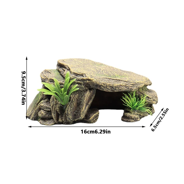 TURTLE REPTILE HABITAT Hiding Caves Simulation Crawling Turtle Reptile ...
