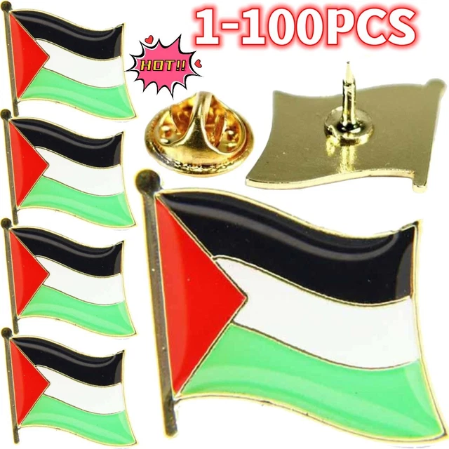 PALESTINE PALESTINIAN DIPLOMAT Brooch Country Flag Lapel Pin-Badges ...
