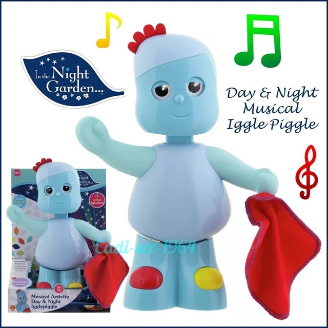 IN THE NIGHT Garden Musical Activity Day and Night Iggle Piggle NEW £32 ...