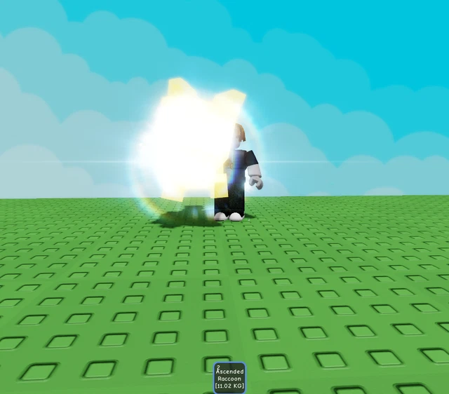 🔥 ASCENDED RACCOON 🔥 GROW A GARDEN🪴 🎮ROBLOX (Super Fast Delivery🚀!) $35 ...