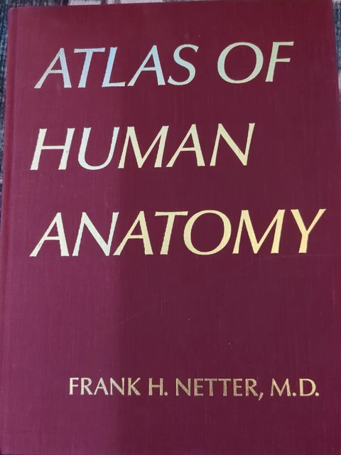 Anatomy Atlas Netter