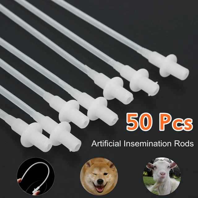 50X ARTIFICIAL INSEMINATION Rods Breeding Catheter Tube Dog Sheep Goat ...