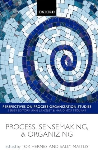 PROCESS, SENSEMAKING, AND Organizing..., Maitlis, Sally EUR 10,18 - PicClick FR