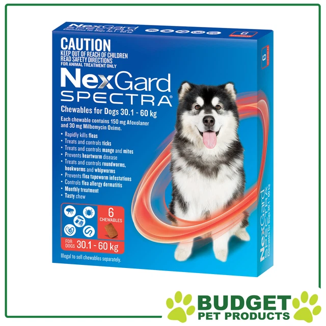 NEXGARD SPECTRA CHEWABLES For Very Large Dogs Red 30.1-60kg 6 Pack EUR ...