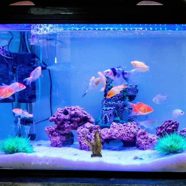 AQUARIUM TREE ROOT Decor Model Fish Tank Landscaping Roots Decoration £ ...