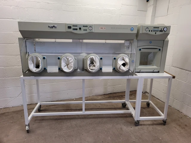 DW SCIENTIFIC MACS-MG-1000 Anaerobic Workstation Laboratory Incubated ...