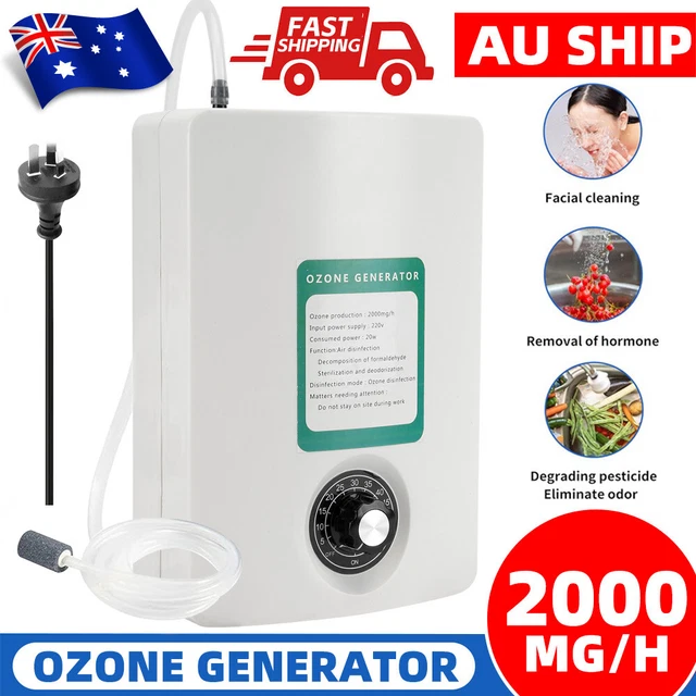 OZONE GENERATOR PURIFIER 2000mg/h Air Freshening for Water Fruit Food ...