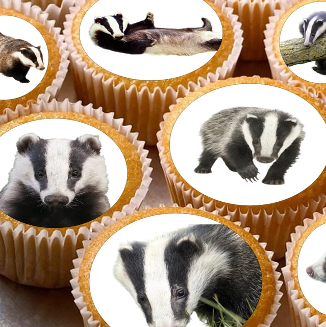 24 EDIBLE BADGER Badgers PRE CUT Wafer / Iced / Card Cupcake Fairy Cake ...