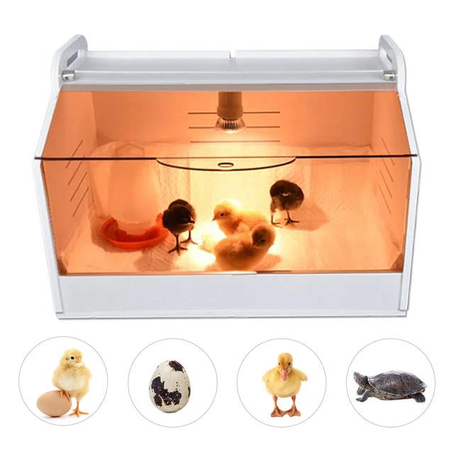 CHICKEN INCUBATOR CHICK Brooding Box, Reptiles Poultry Brooding Machine ...