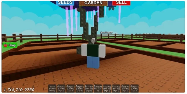 GROW A GARDEN Roblox 1 moon blossom tree account (very cheap and fast ...