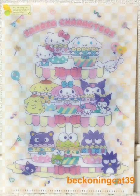 SANRIO CHARACTER A5 File Folder 2 Poches Hello Kitty Cinnamoroll ...