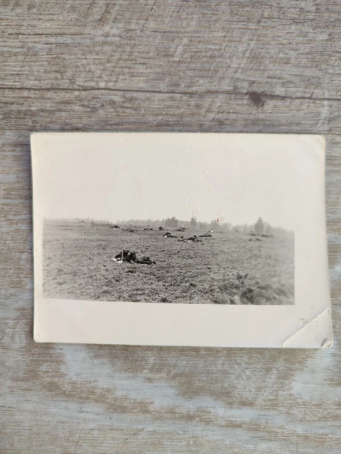 SOLDATEN RUSSISCHE GEFALLENE Kameraden Stalinlinie 2.WK (10,5x7,5) Orig ...