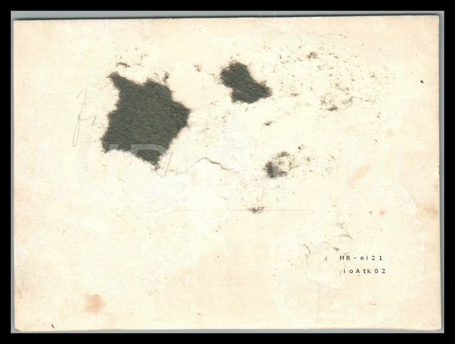 FOTO, NACHL. FLIEGERING.PELLETIER, Flugzeug Sablatnig, Prototyp?, L319L ...