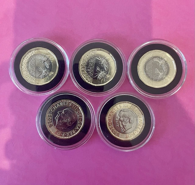 2025 KING CHARLES Bee Coin x 5 One Pound £1 Coins Bees Capsuled From ...