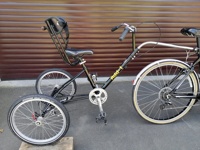 PASHLEY ADD-1. (DUAL wheel tag-along with back rest support) £363.68 ...