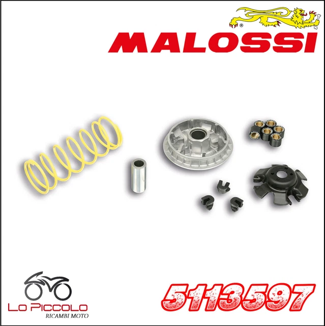 5113597 VARIATEUR MALOSSI 2000 Sym GTS Evo I 300 c. -à- 4T LC (MK8) EUR ...