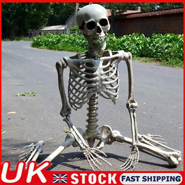 FULL LIFE SIZE Fake Human Skull Bones Poseable Horror Halloween Party ...