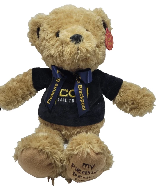BLACKPOOL PLEASURE BEACH Icon Teddy Bear Cuddly 12"Plush Soft Toy Teddy ...