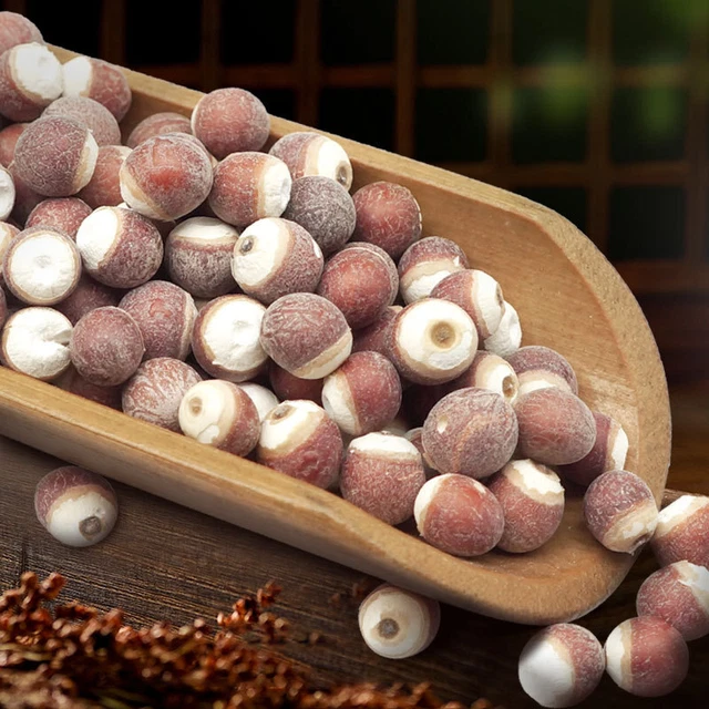 GORDON EURYALE SEED 350g Canned Red Gorgon with Skin Chinese Herbal ...
