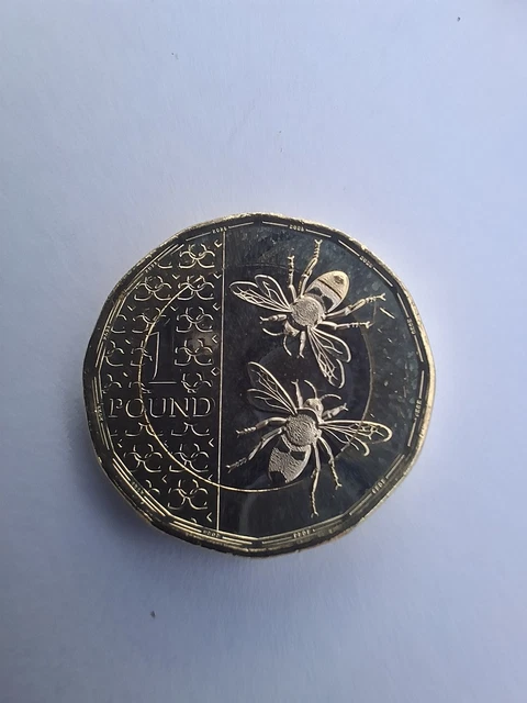 2025 KC III Bee One Pound Coin x 3 from a Sealed Bag. Five coins. £8.10 ...