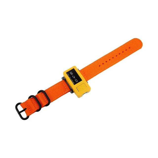 KIT DE MONTRE Intelligente M5 StickC PLUS2 ESP32 - Appareil IoT ...