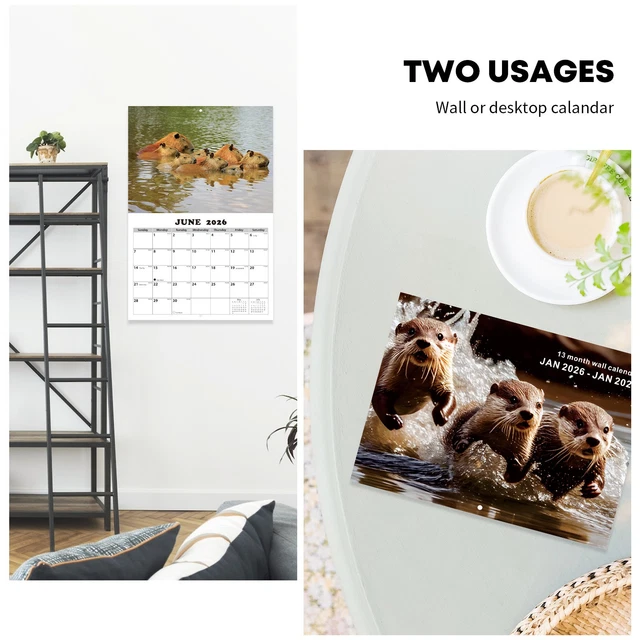 2026 CAPYBARA THEMED English Calendar Personal Time Management Planner Organizer £6.99 - PicClick UK