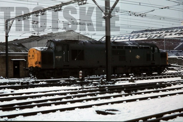 35MM SLIDE BR British Rail Diesel Loco Class 37 37127 1981 Original £4. ...