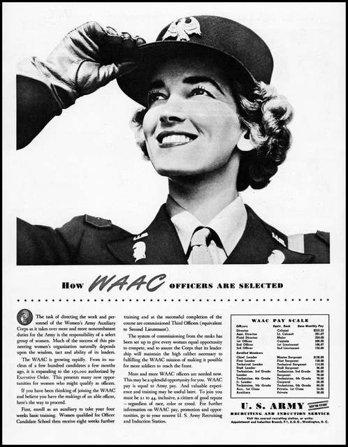 1943 WW2 U.S. Army WAAC How Officers are Selected vintage photo print ...