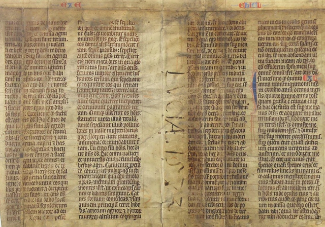 MEDIEVAL LATIN PARCHMENT Manuscript, Bible, Book Of Ezekiel, Circa 1420 ...