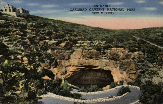 NEW MEXICO CARLSBAD Caverns National Park Entrance ~ 1940s linen sku869 ...