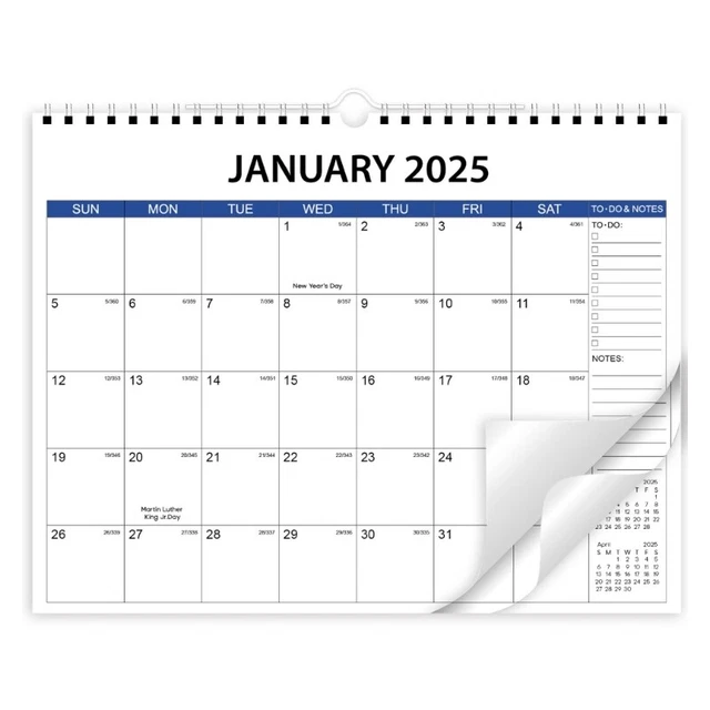2025 WALL MONTHLY Calendar Planner from 01/2025 to 12/2025 Unlined ...
