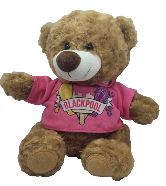 BLACKPOOL TEDDY BEAR Pink Top 10"Plush Cuddly Soft Toy Teddy Souvenir £ ...