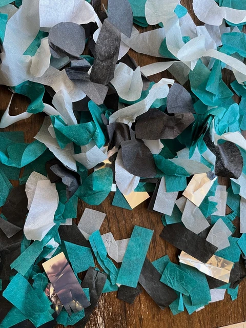 PHILADELPHIA EAGLES 2025 Super Bowl LIX Victory Confetti $22.28 ...
