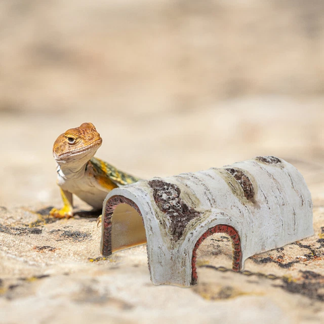 LES REPTILES SE Cachent Des Grottes Cachette Gecko Sol Pour Animal EUR ...